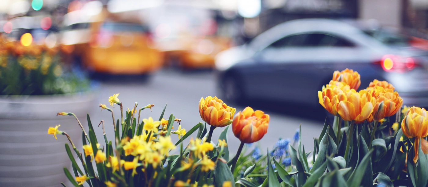 Banner Batterien | Premium Starterbatterien für PKW, LKW, Motorräder ...