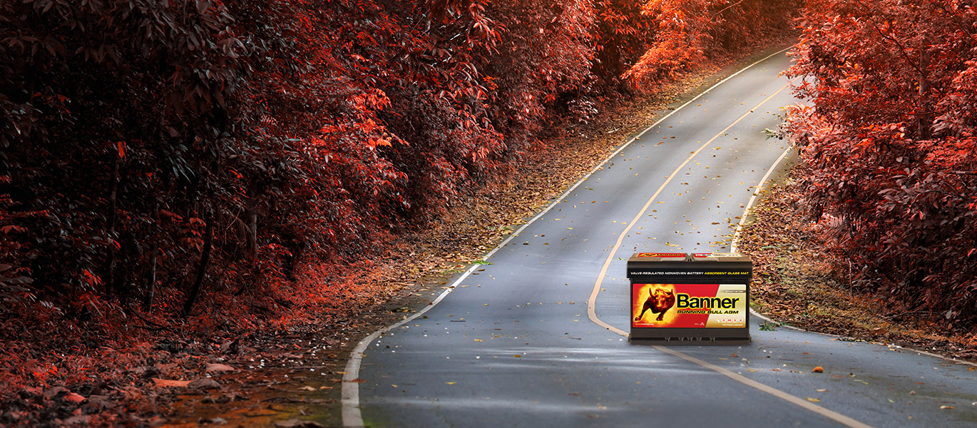 Banner Batterien - Home