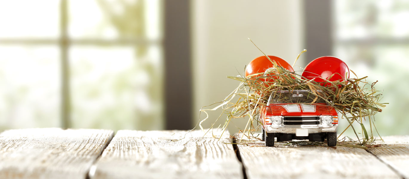 Banner Batteries - Home